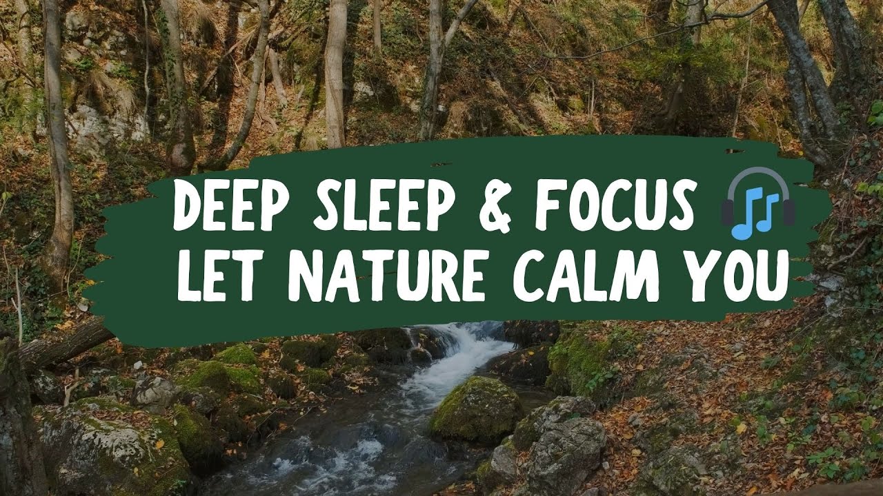 Forest Sounds with Gentle Birds & Babbling Brook | ASMR for Deep ...