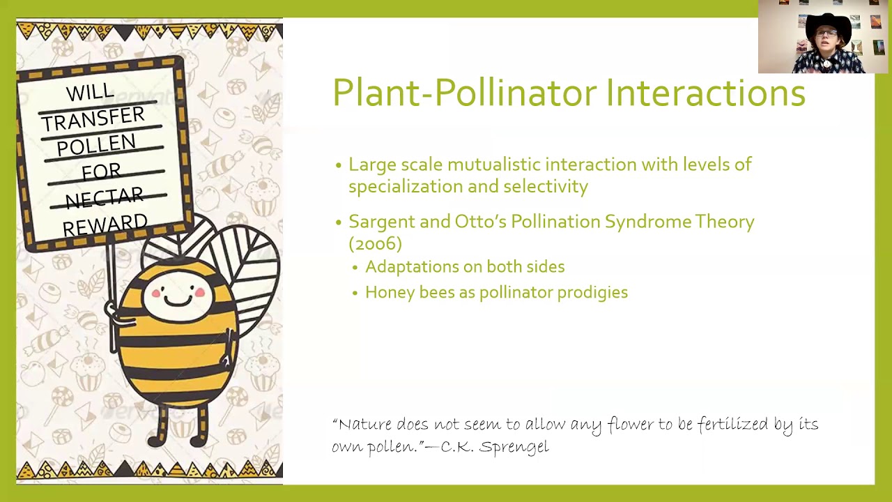 Insect Plant Interactions Term Paper Presentation - YouTube