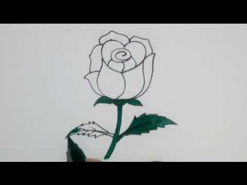 How to draw rose drawing easy step by step #rose #flower #drawing # ...