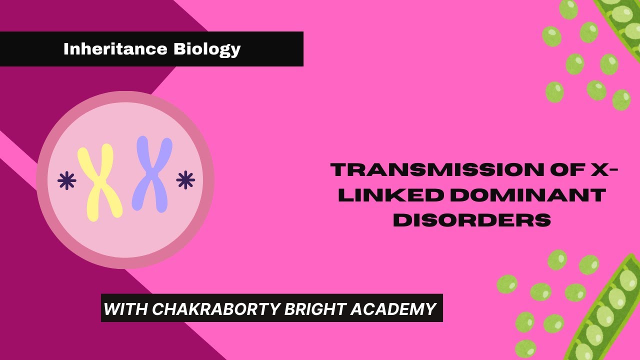 Transmission of X-linked Dominant Disorders - YouTube
