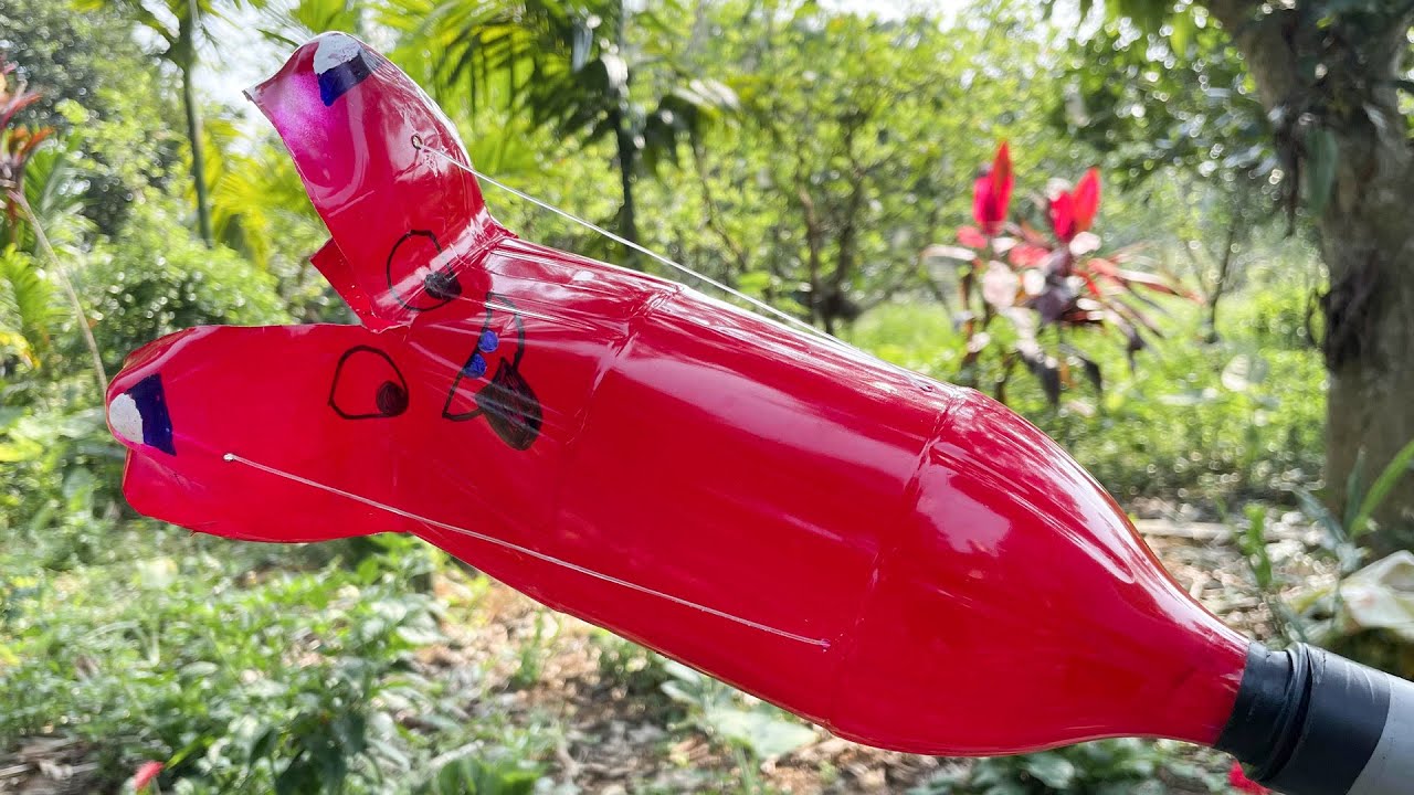 How To Make A Recycled Fruit Picker From Discarded Plastic Bottles ...