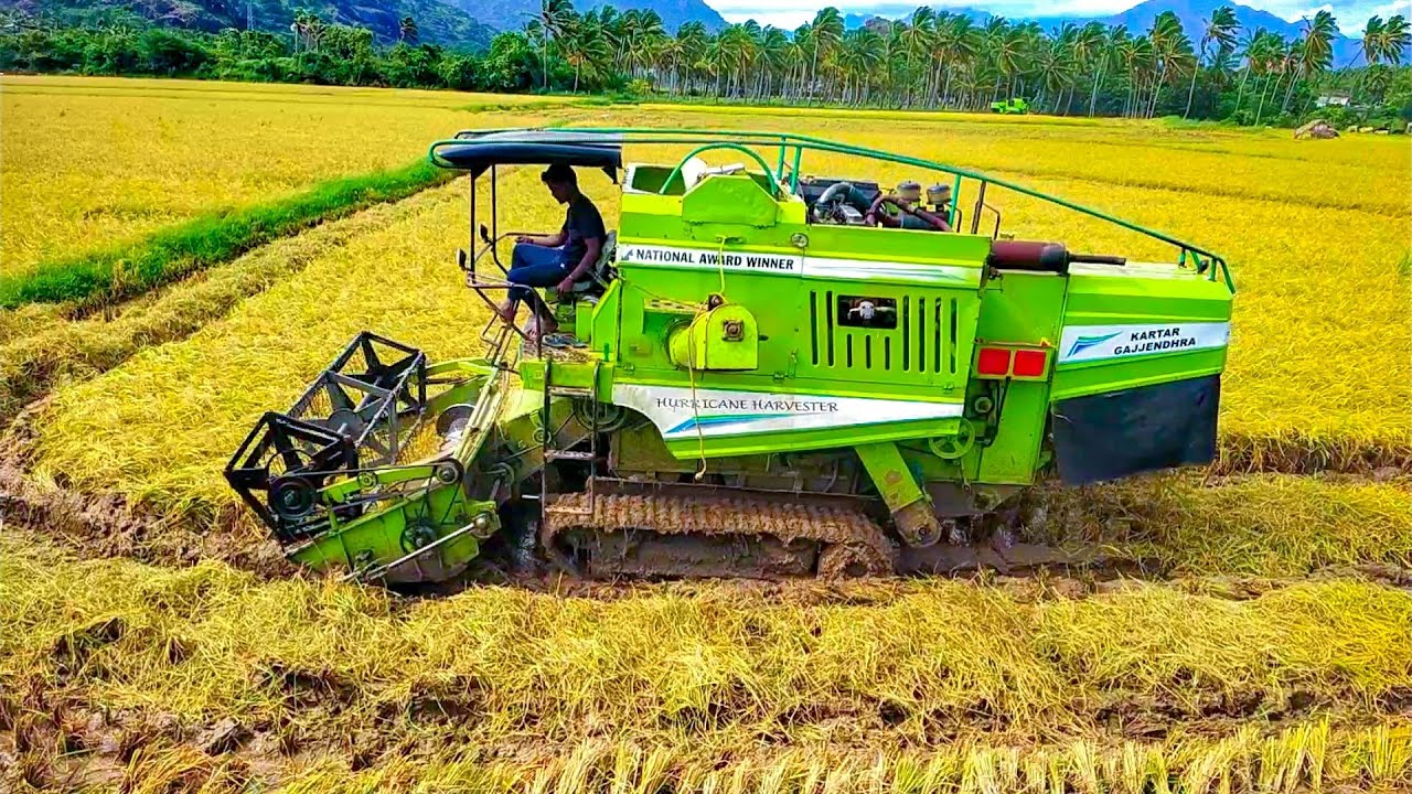 kartar harvester | harvesting machine work from Nagercoil | நெல் அறுவடை ...