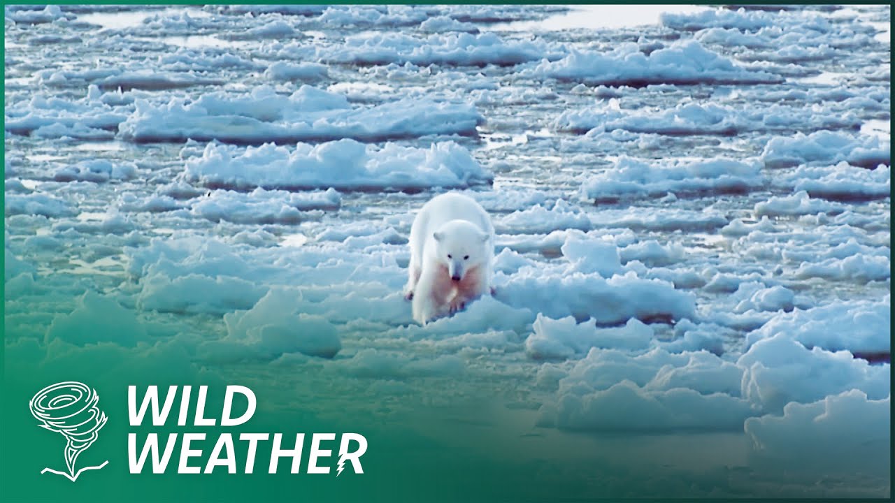 How Extreme Floods Are Destroying The Arctic - YouTube