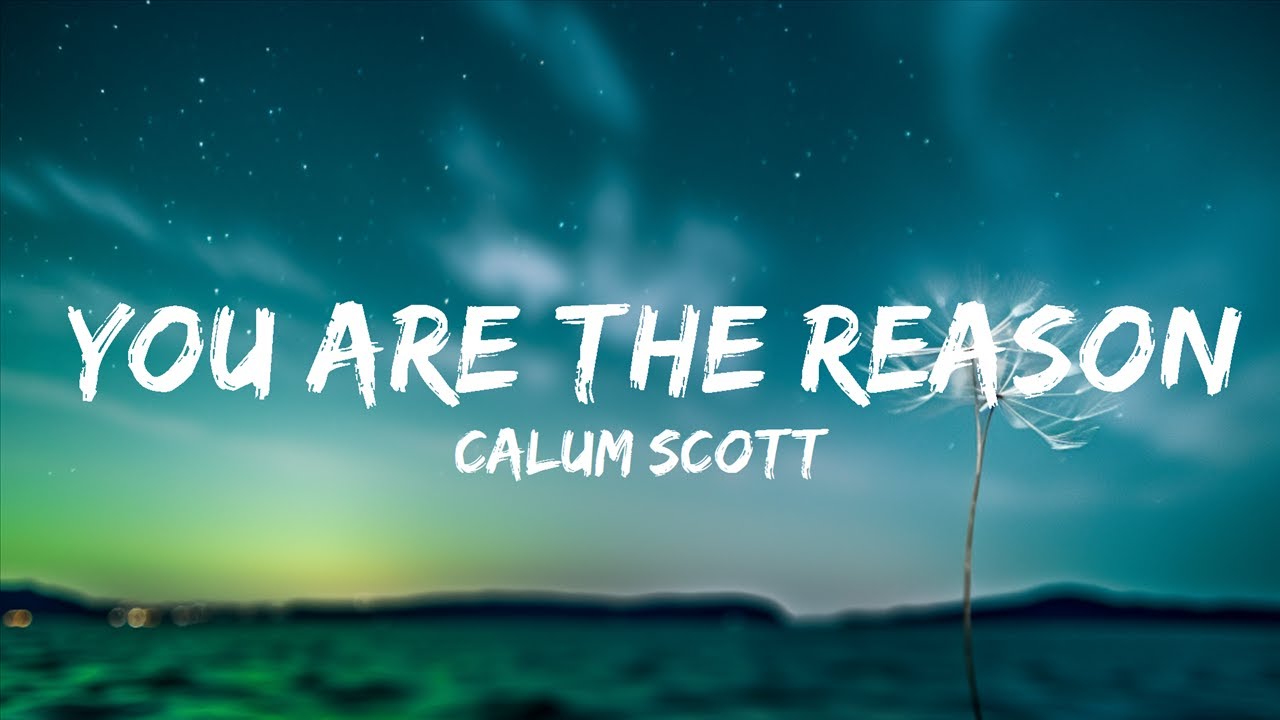 Calum Scott - You Are The Reason (Lyrics) | 25 MIN - YouTube