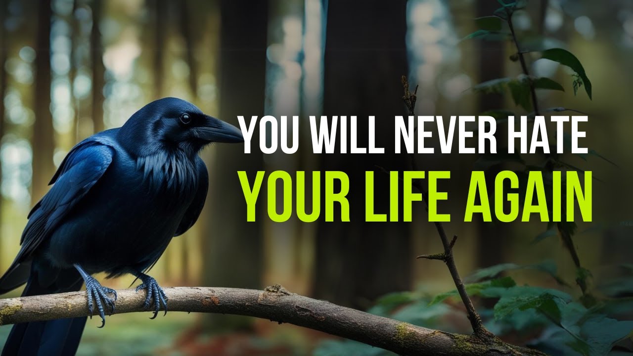 If You Feel Sad, Just Listen to This Raven Story | Short Motivational ...
