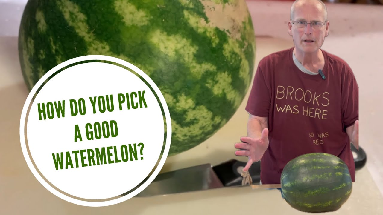How Do You Pick A Good Watermelon? Is There A Secret To The Perfect ...