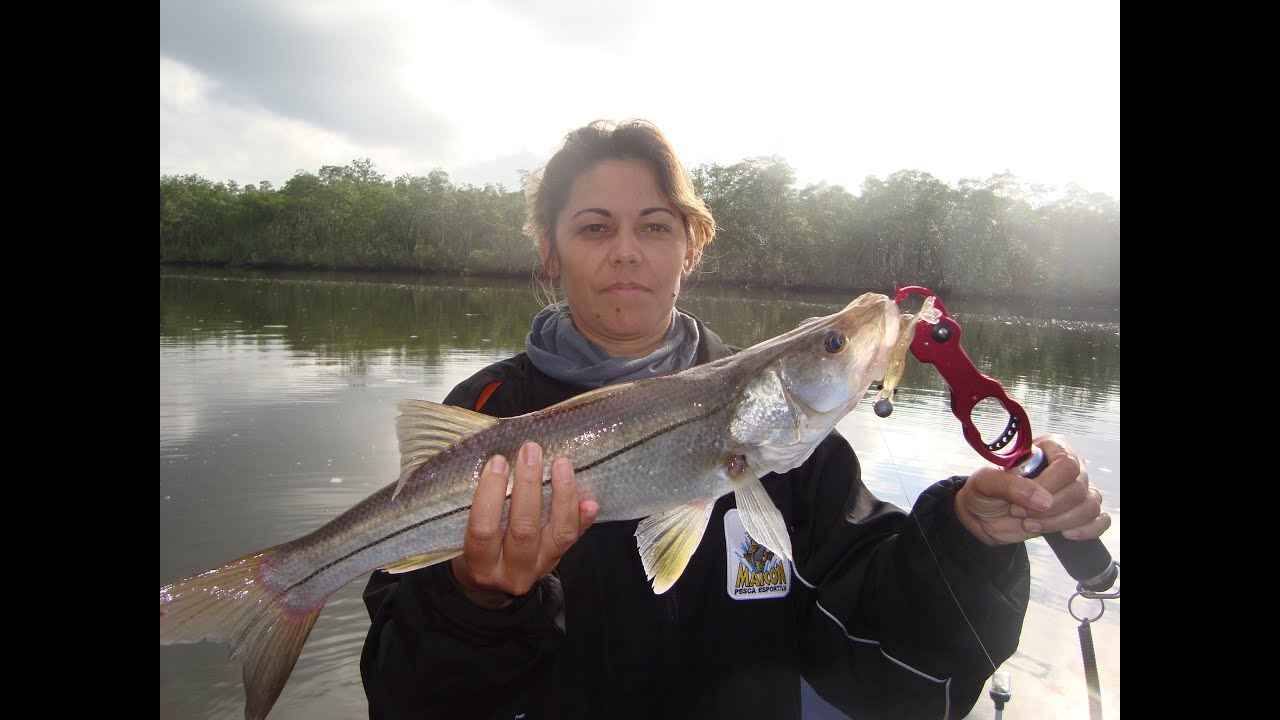 Robalo Flecha Pescaria com jig head ( Camarão artificial Flex ) Pesque ...