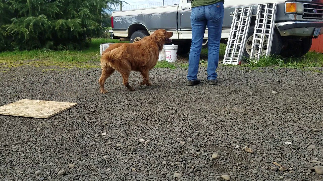 Persephone / Place - YouTube