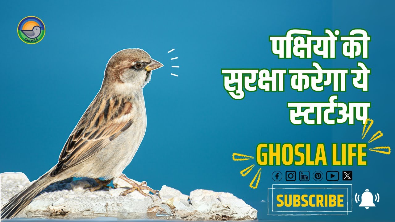 GHOSLA LIFE - हौसलों की उड़ान || एक अनोखी शुरुआत पक्षी संरक्षण के लिए ...