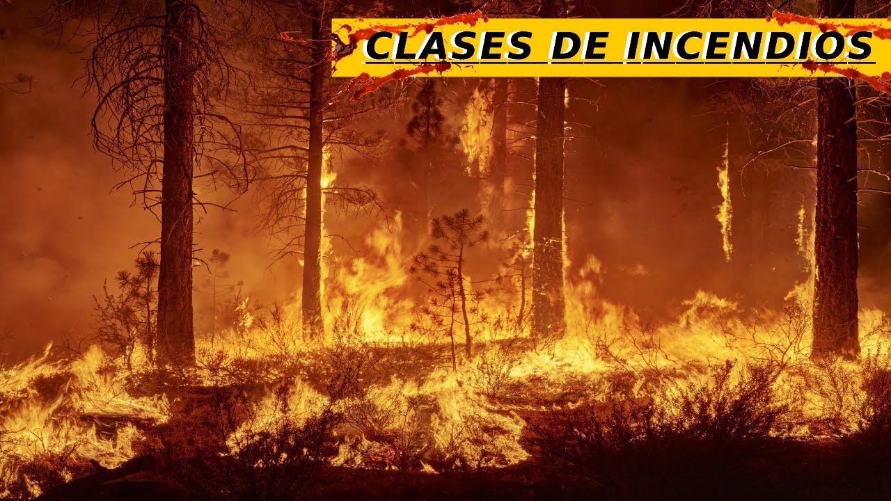 ¿Cómo diferencias un fuego de otro? | Incendios y explosivos - YouTube