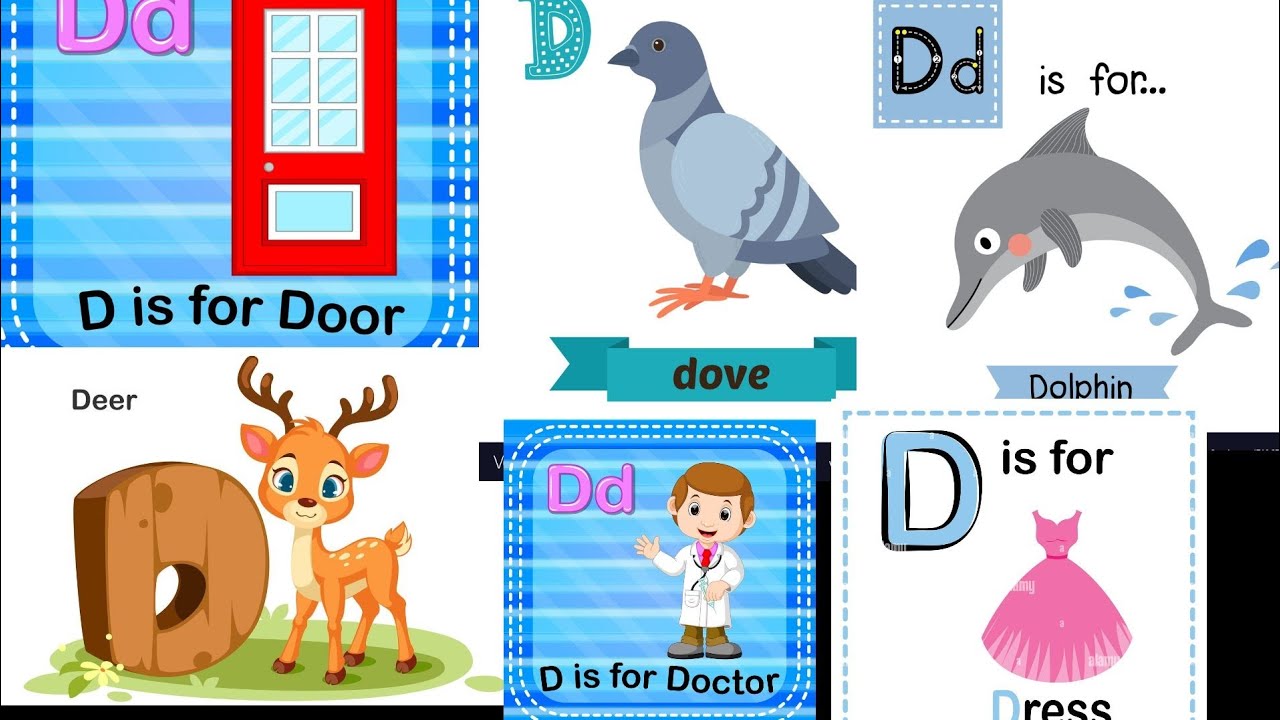 #more words with D#some words starting with letter D#learn vocabulary ...