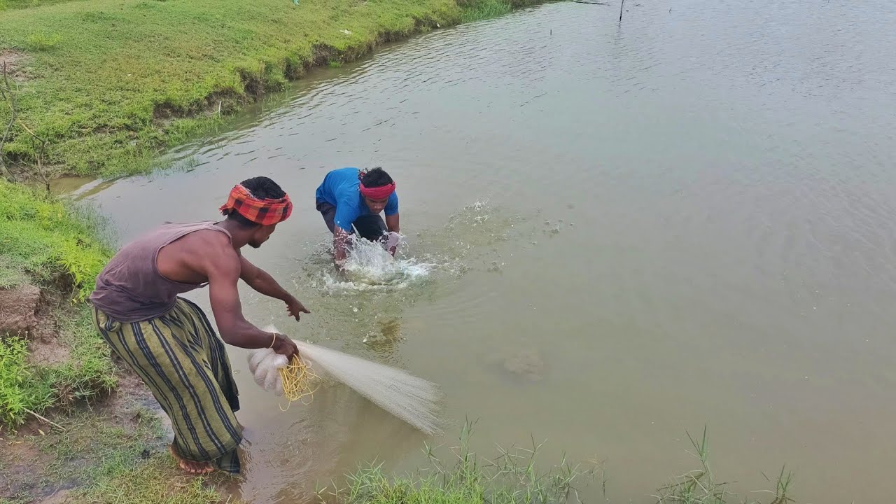 Big Fish | Cast Net Fishing For Big Fish | Net Fishing in the Village ...