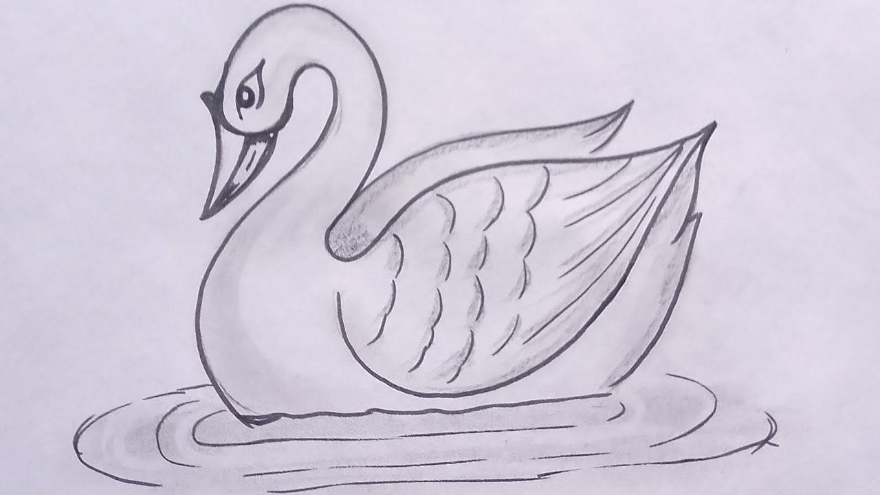 how to draw a duck pencil shading ।। easy drawing brid pencil sketch 🦆🦆 ...