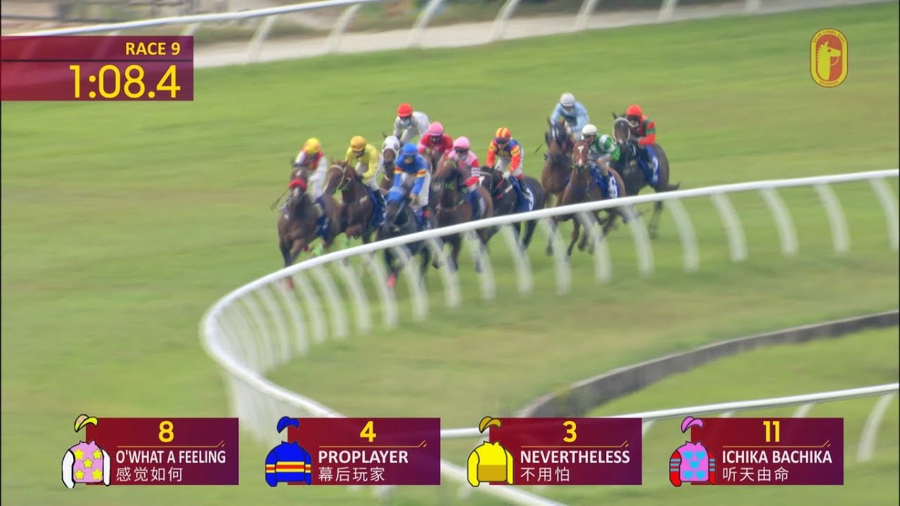 25 OCT 2020 RACE 9 - YouTube
