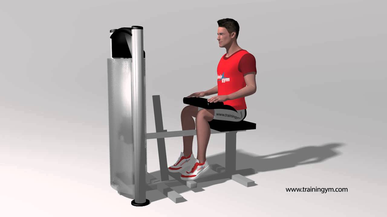 Trainingym Flexo extensión de tobillo con rodillas flexionadas - YouTube