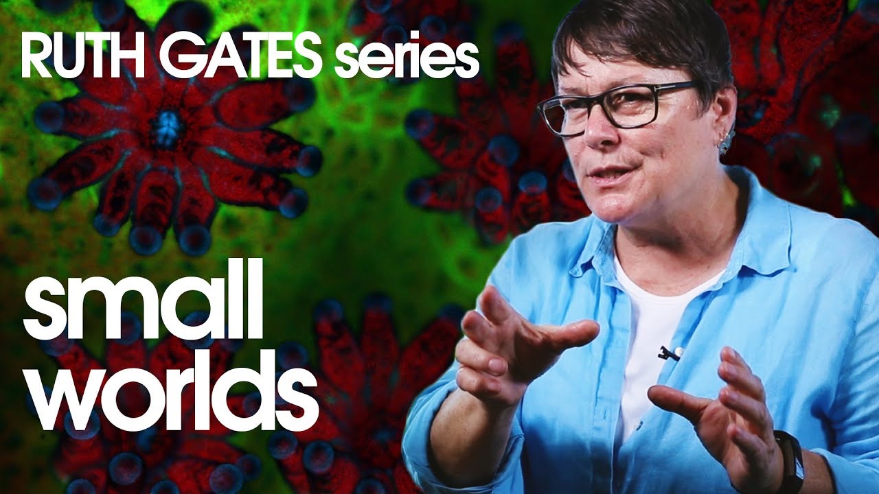 Small Worlds - Ruth Gates Series - YouTube