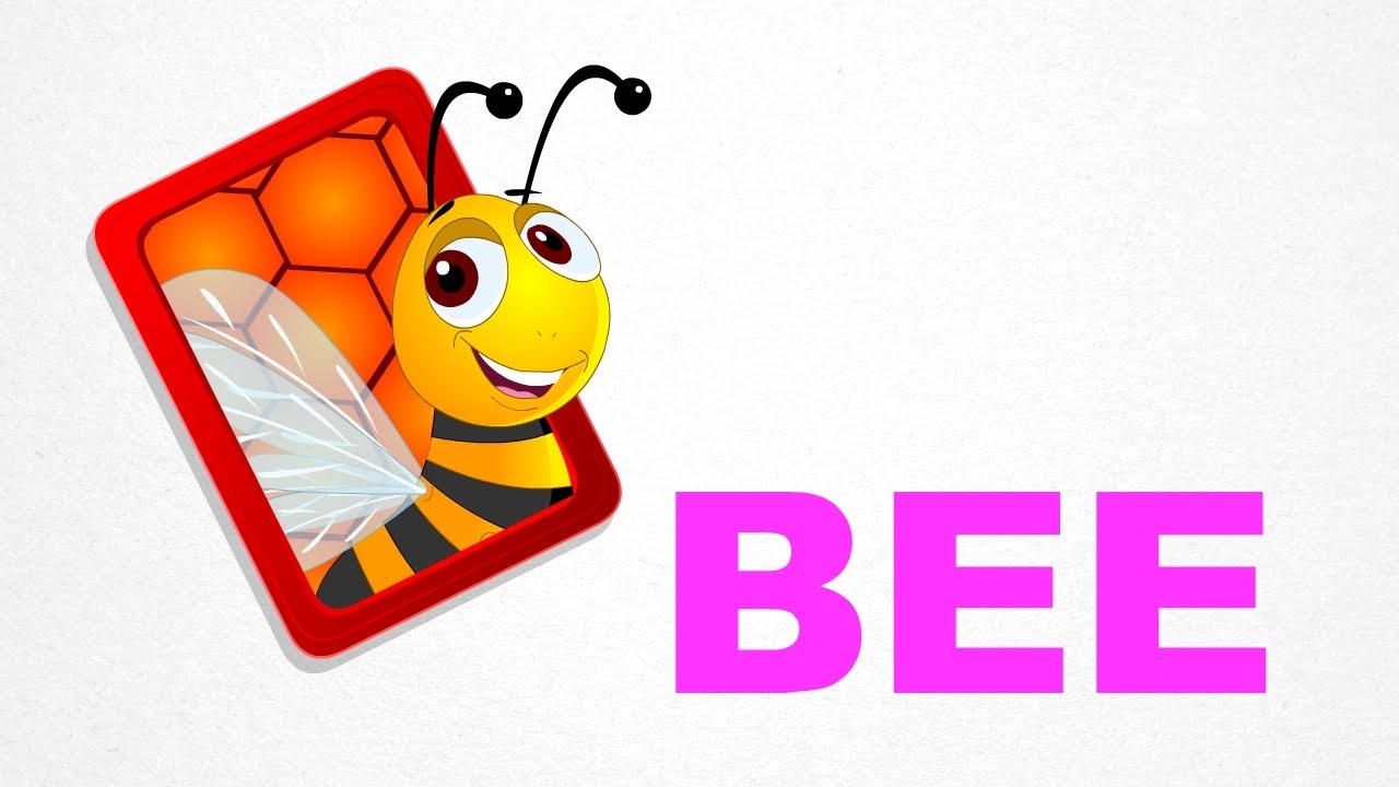 Bee - Insects - Pre School - Learn Spelling Videos For Kids - YouTube
