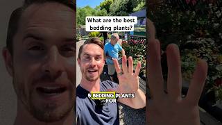 What are the best bedding plants? #garden #gardening