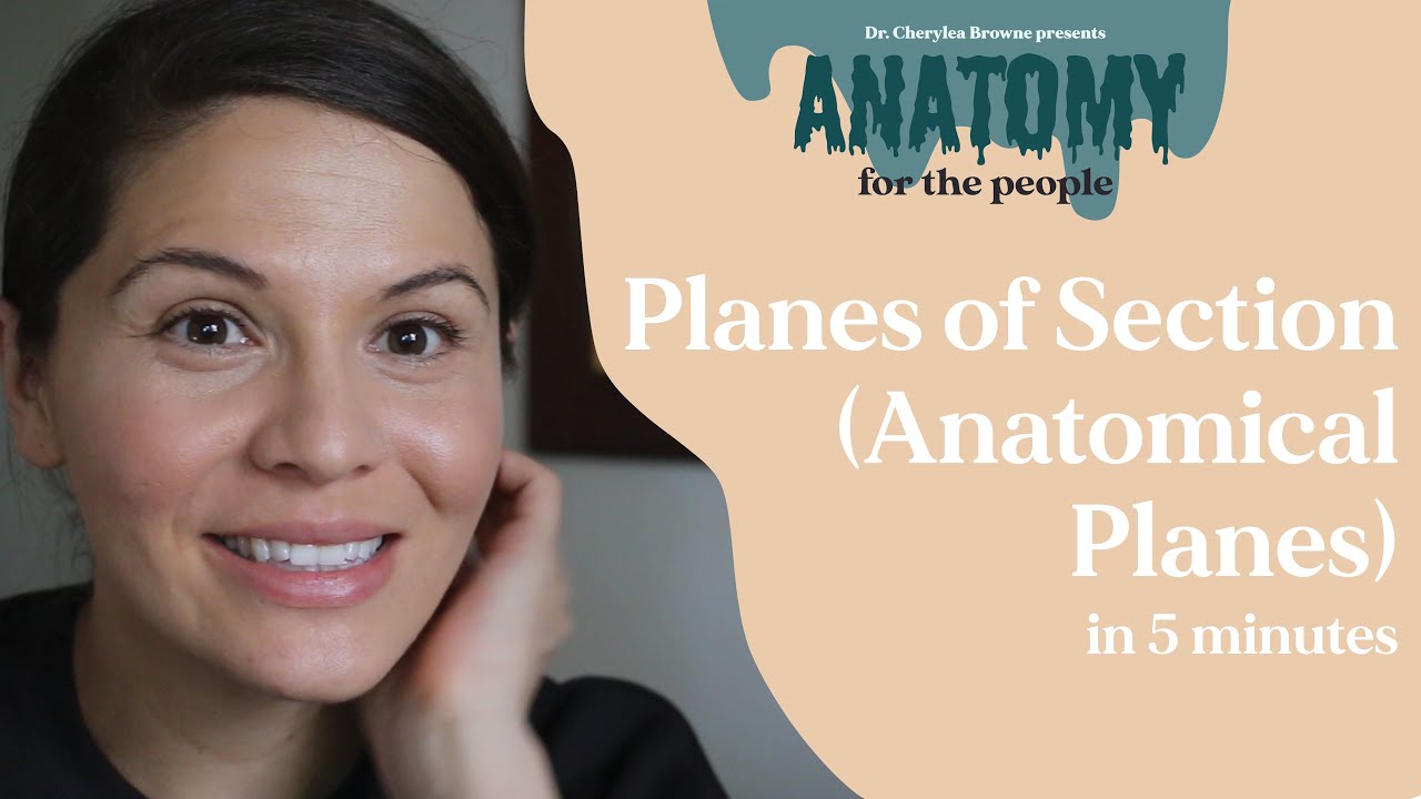 PLANES OF SECTION / ANATOMICAL PLANES - in 5 minutes! - YouTube