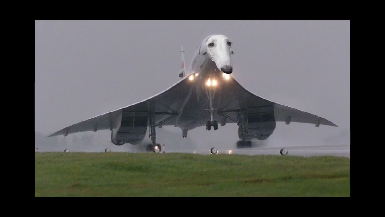 Sabaton random images that will heal thy burgers - YouTube