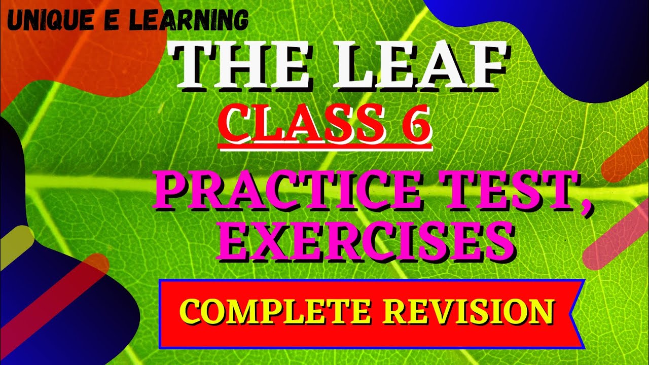 THE LEAF - PRACTICE Test ||Question and answers|| CLASS 6 ICSE II ...