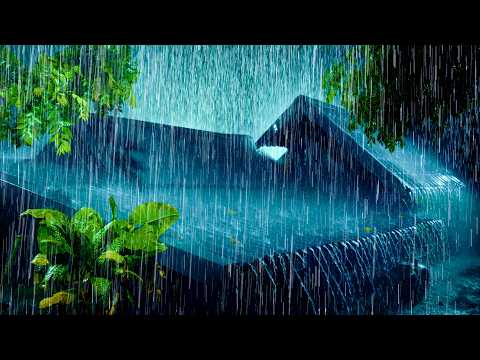 Reklamsiz Yağmur Fırtınası Ortamı 🌧️ Geceleyin Karanlık Ormanda Teneke Çatıda Şiddetli Yağmur Ve...