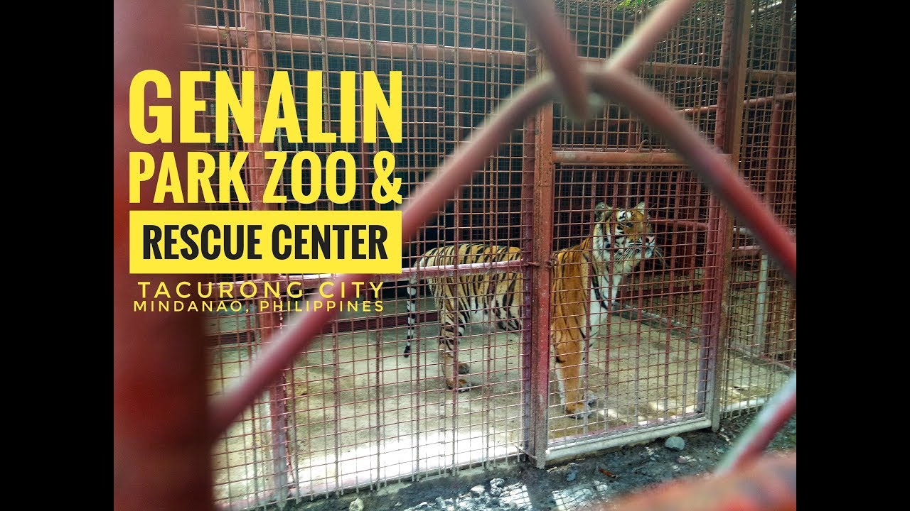 Genalin Park Zoo & Rescue Center in Tacurong City - YouTube