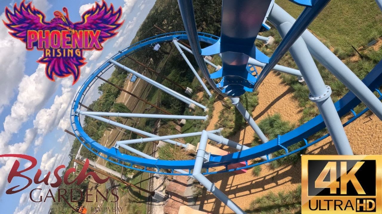 Phoenix Rising Busch Gardens Tampa NEW for 2024 B&M Family Inverted ...