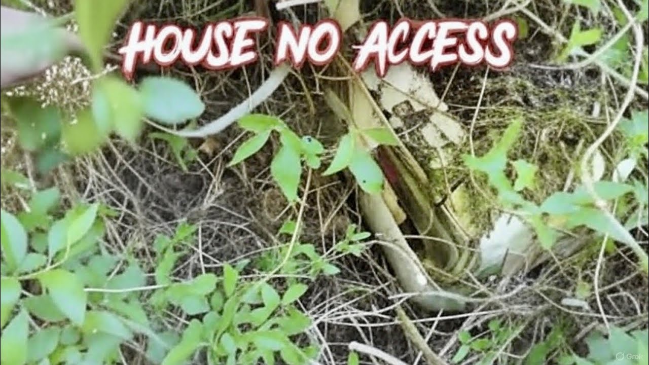 HOUSE NO ACCESS - YouTube