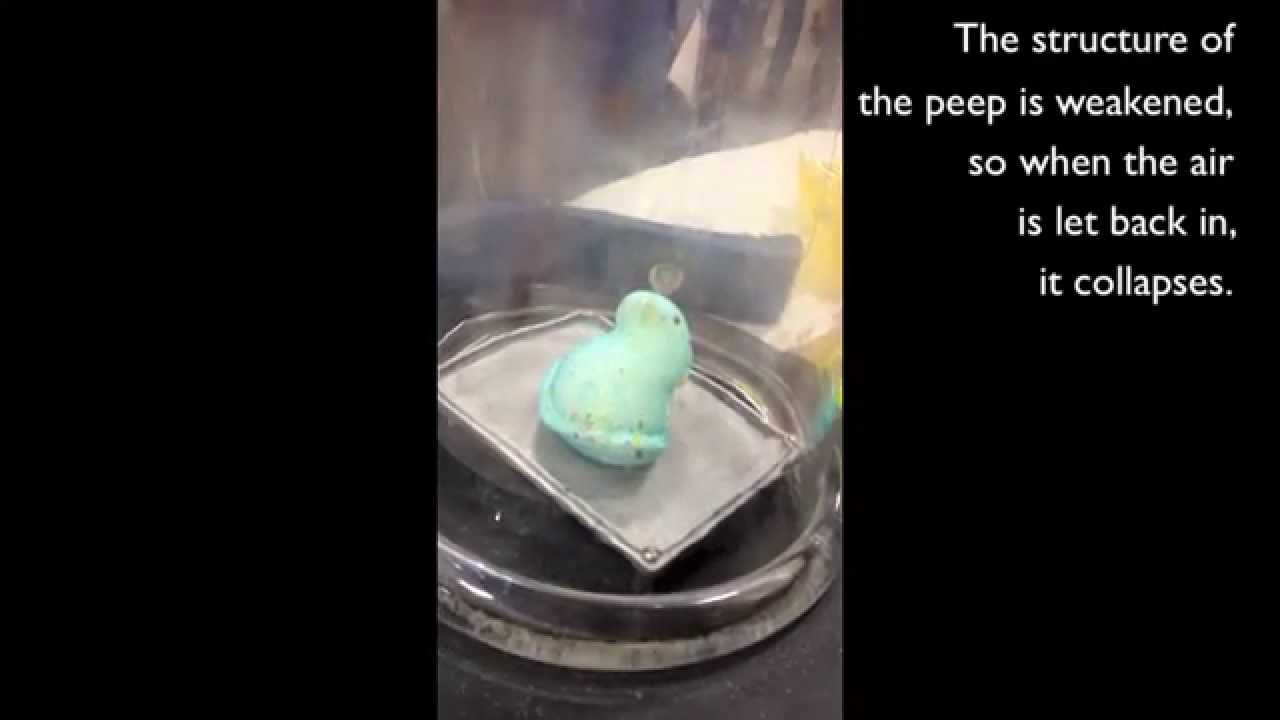 What happens if you expose a Peep to vacuum? - YouTube