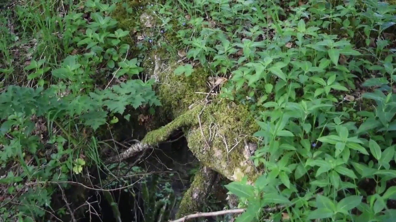 Duchal Castle (Ruins) - YouTube