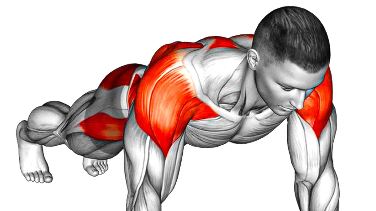The Best Full Body Workout at Home - Best Exercises for Chest, Biceps ...
