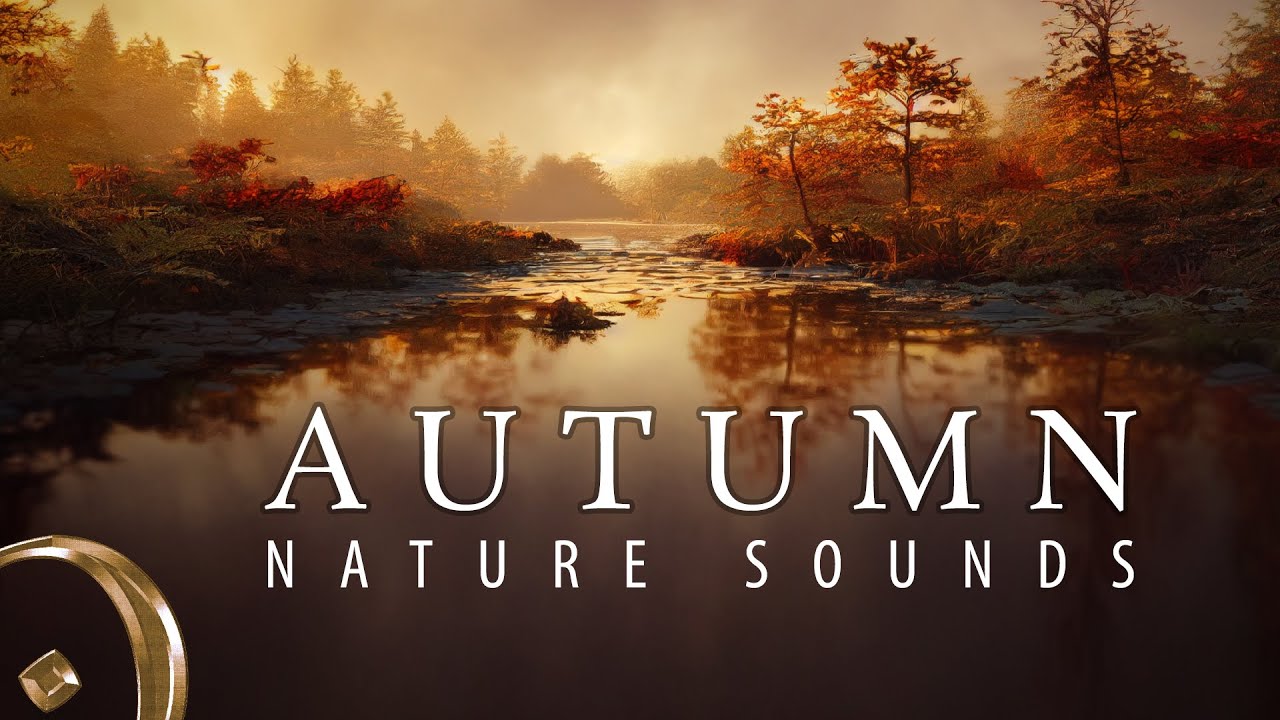 Farewell, Autumn. | Nature sounds ASMR - YouTube