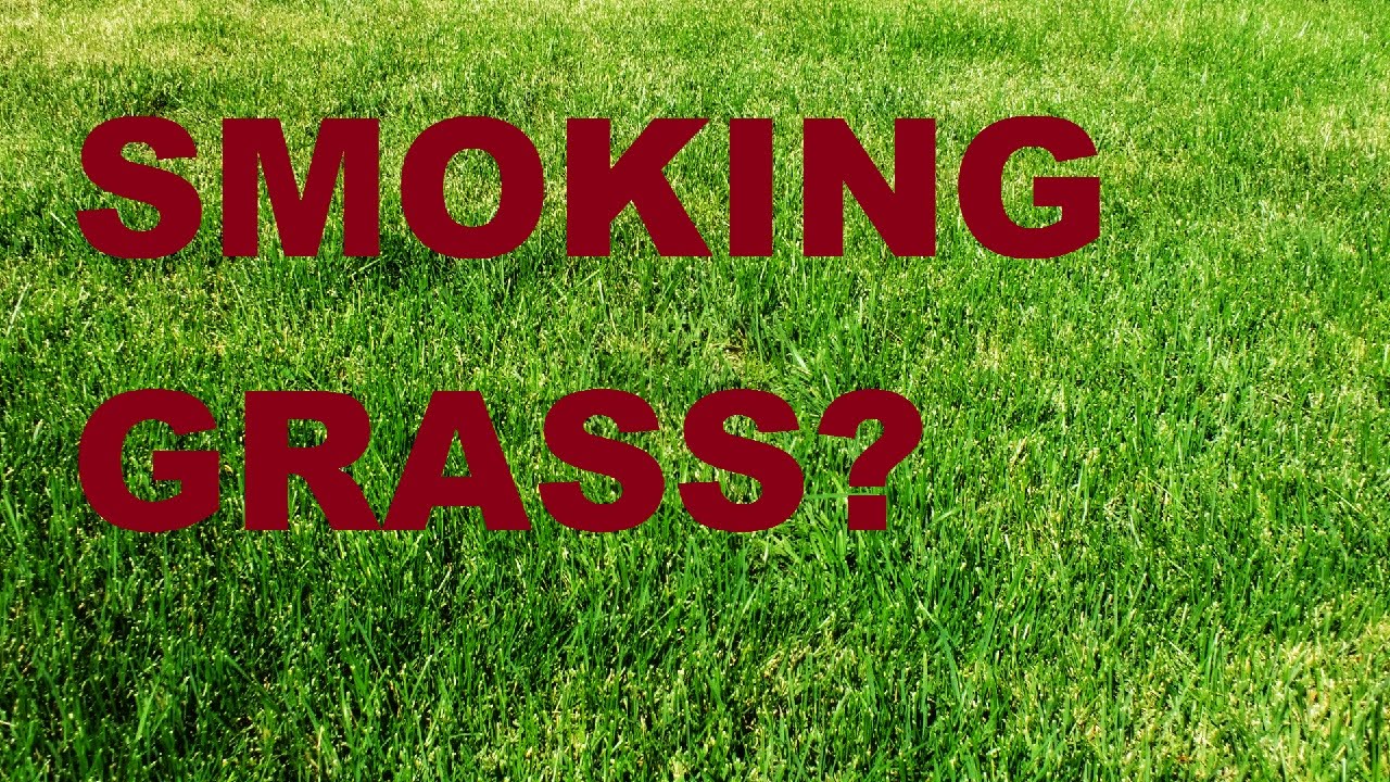 SMOKING ACTUAL GRASS[CS:GO SURF] - YouTube