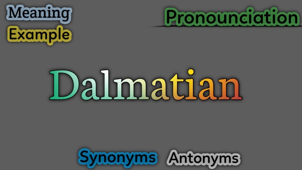 Dalmatian Meaning | Dalmatian Pronunciation - YouTube