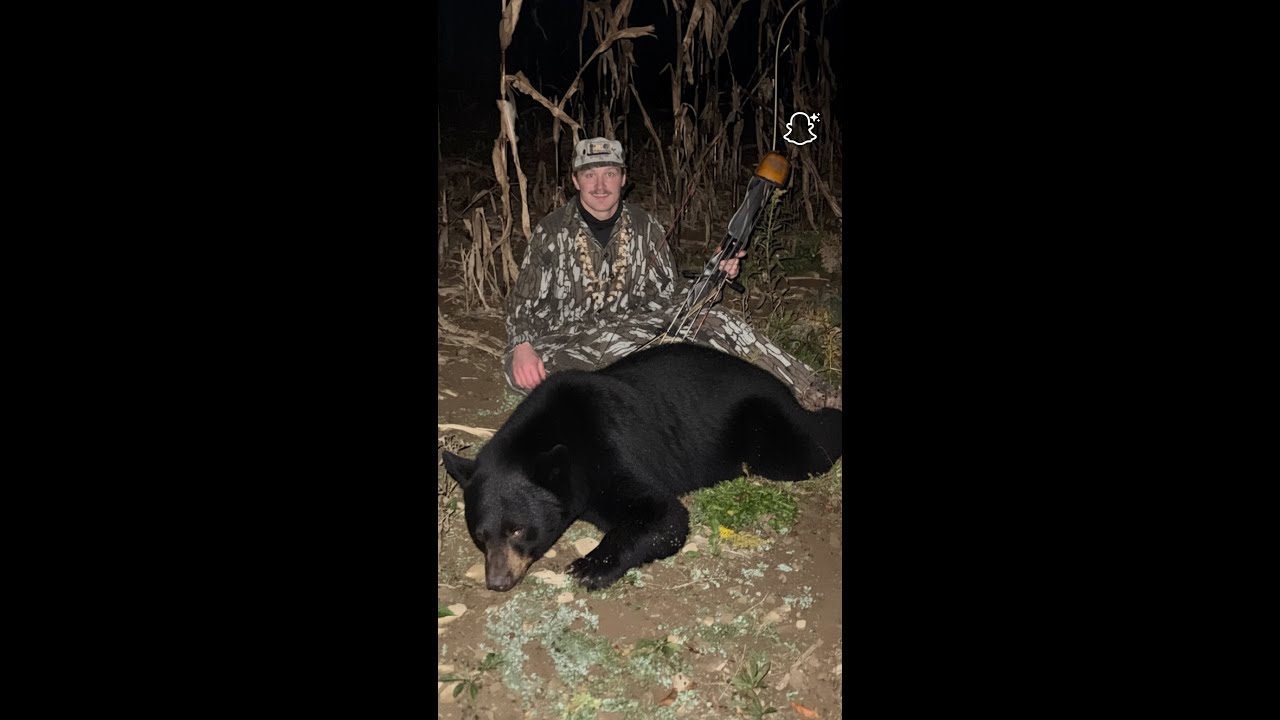 Pennsylvania hunters harvest 1,143 bears through three seasons