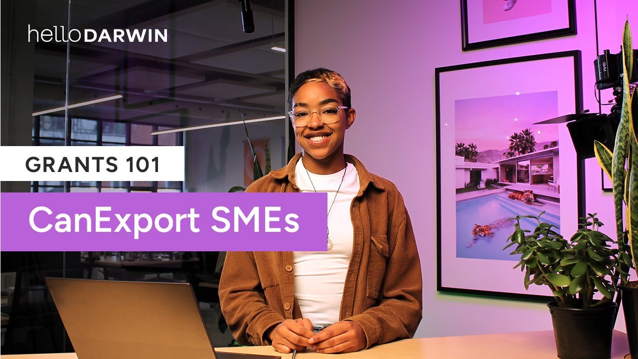 What is the CanExport SME subsidy? - YouTube