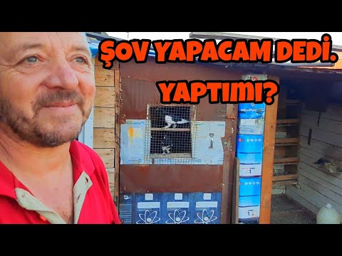 KÜMESE BİR GİRDİM NELER GÖRDÜM NELER😱-KARABAŞCI HASAN DAYI ŞOV YAPTI-