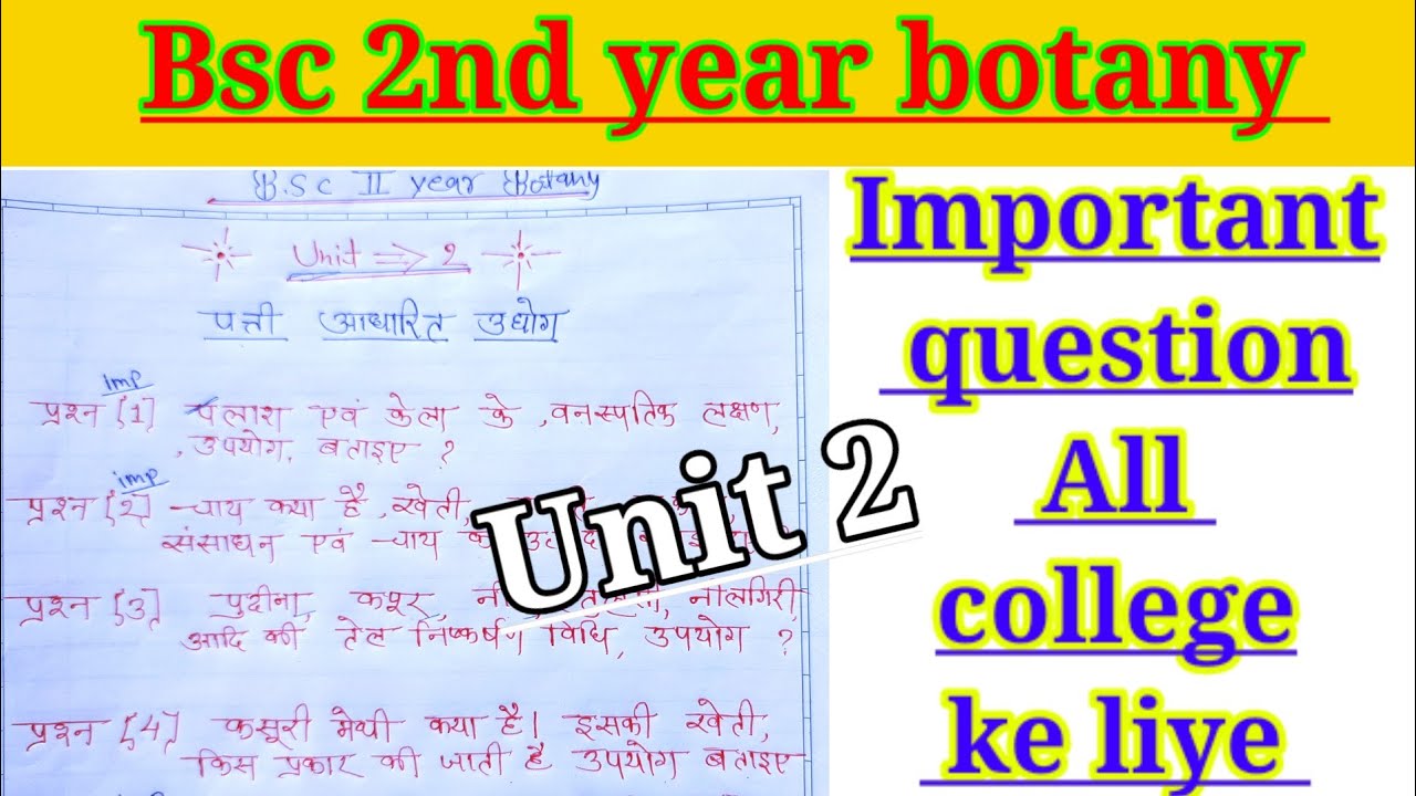 botany unit 2 important question पत्ती आधारित उद्योग। #bsc 2nd year # ...