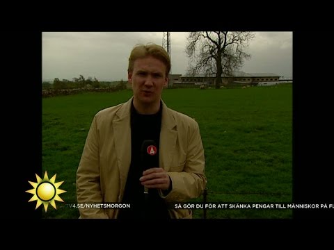 Så såg Jesper ut - för tjugo år sedan - Nyhetsmorgon (TV4)