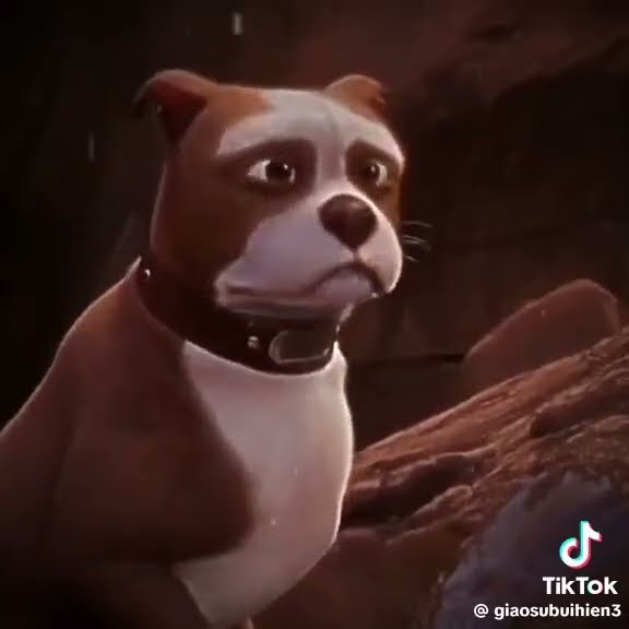 Stubby Dog YouTube stubby-dog-youtube