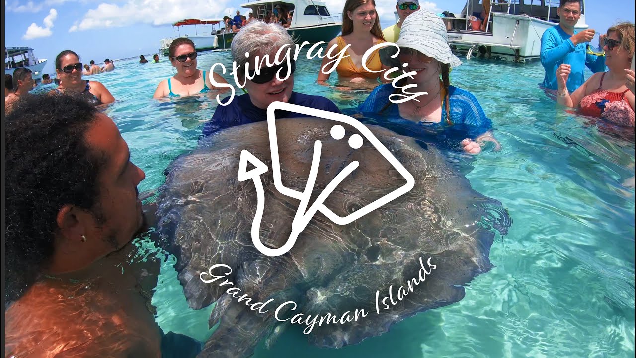 Grand Cayman Islands - Stingray City -Carnival Cruise Excursion Sandbar ...