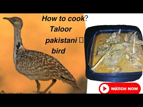 How to cook?{Taloor} Pakistani 🐦Bird with food station Sheraz Manzoor ...