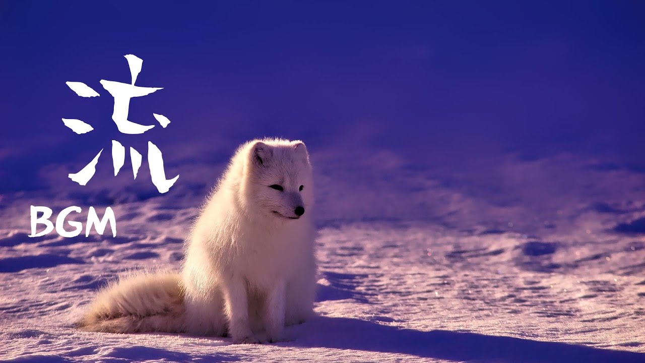 背景音樂 無版權音樂 免費音樂 BGM音樂下載 歌名: Get Outside 作者: Jason Farnham | 流行 | 開心音樂 ...