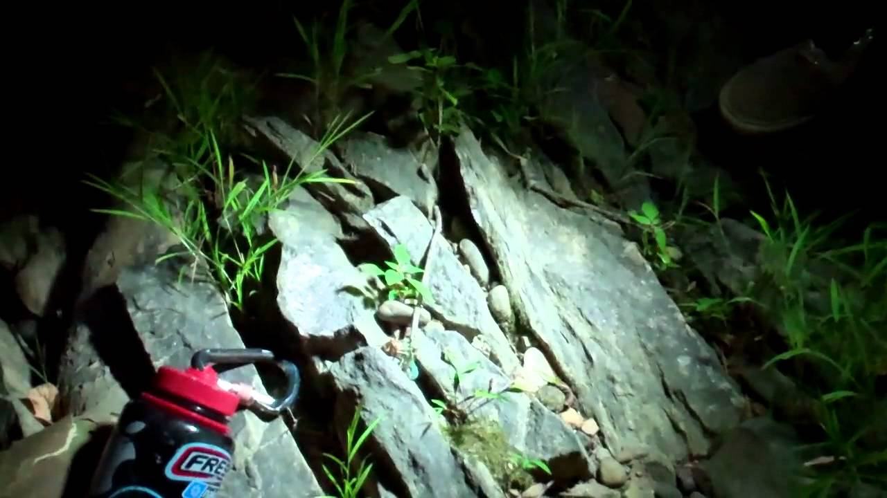 GIANT SPIDER FOUND IN 30FT DEEP PIT!!! - YouTube