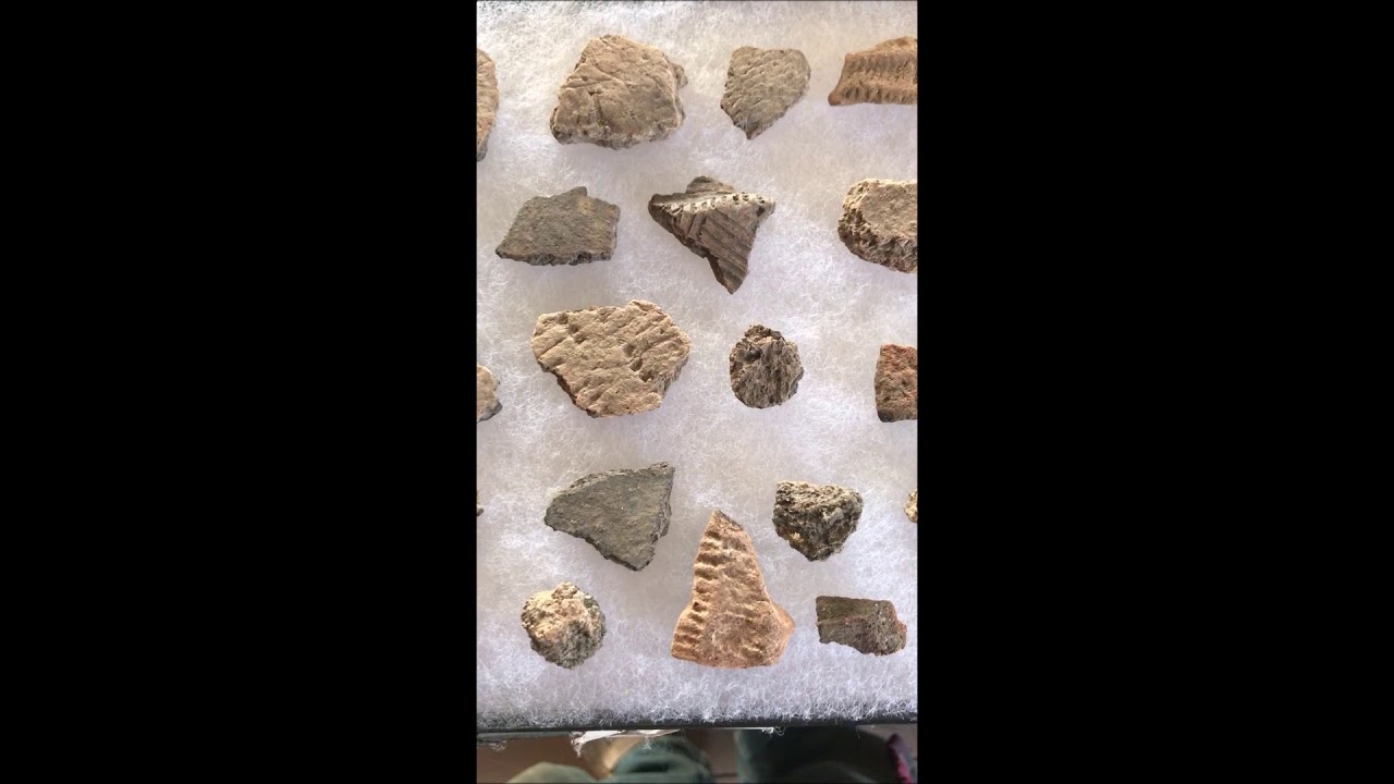 Find Indian Artifacts in your landscape while planting trees - YouTube
