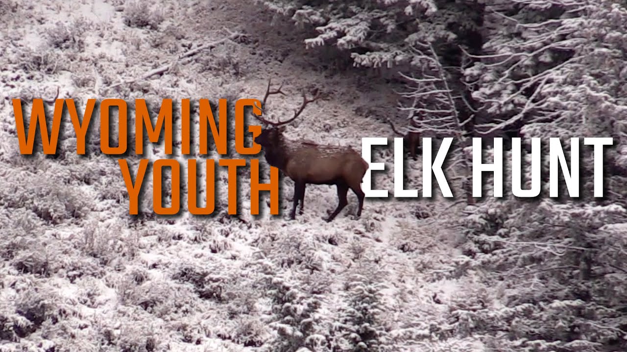 Wyoming Youth Elk Hunt YouTube wyoming-youth-elk-hunt-youtube