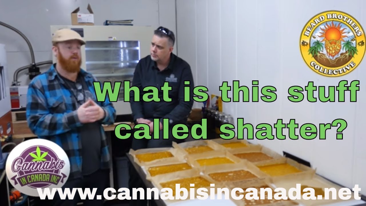 In the Lab with Slabs of Dabs extracts 101 - YouTube