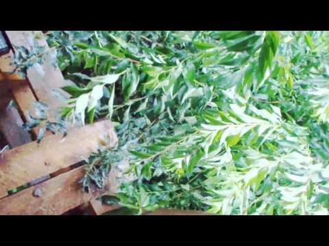 Sawzall Cut Floor Joyce - YouTube