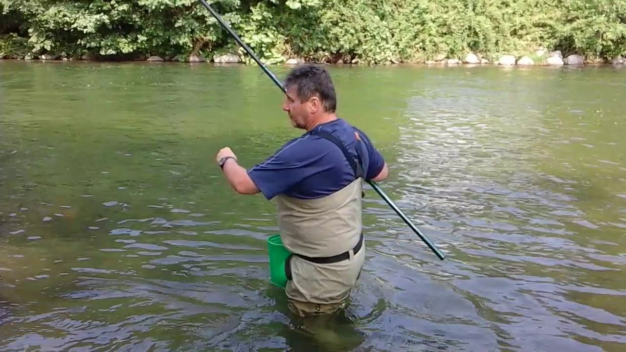 pesca cavedano nel fiume - YouTube